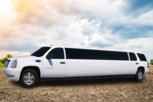 Home [crownlimo.ca]